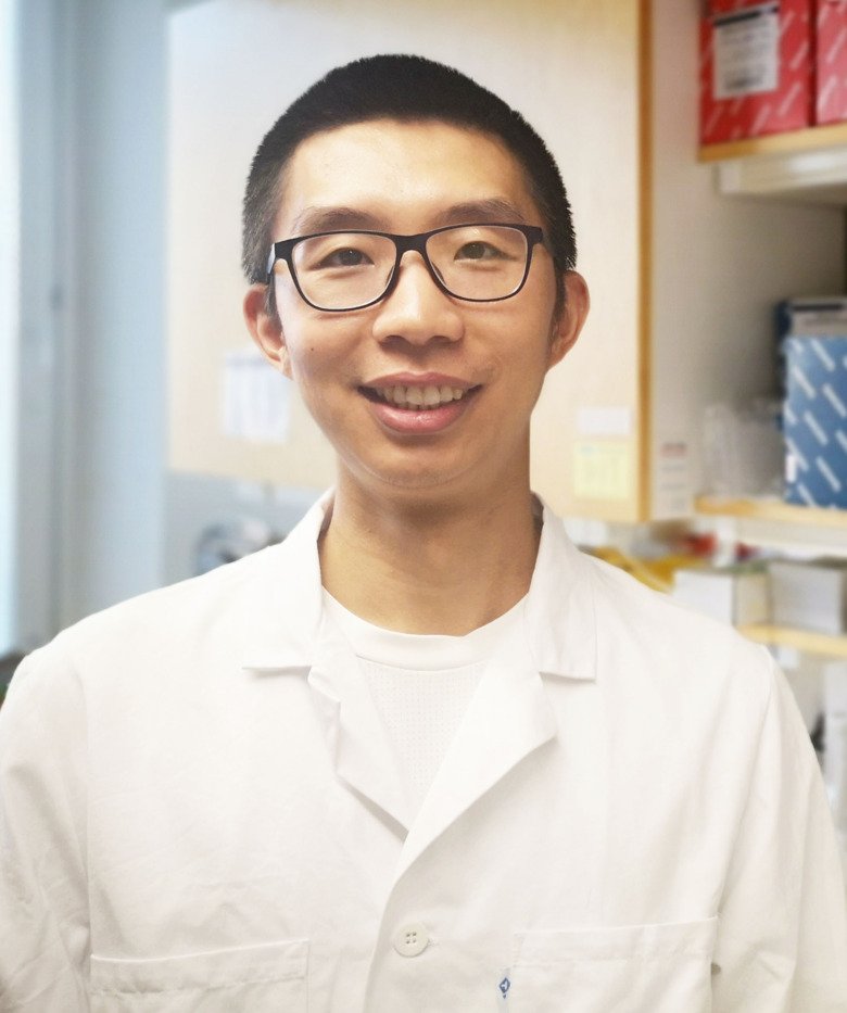 New findings on potential targets for treating venous ulcers | Karolinska Institutet